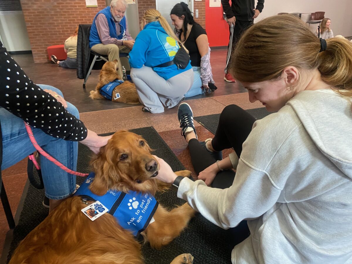 Therapy dogs bring calm to Davenport University students during finals ...